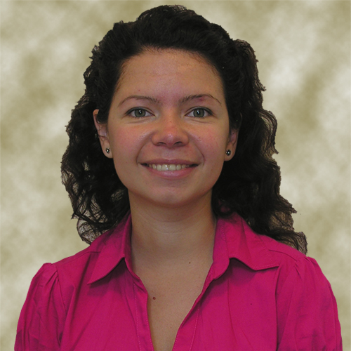 The Commutative Algebra Group at UNL